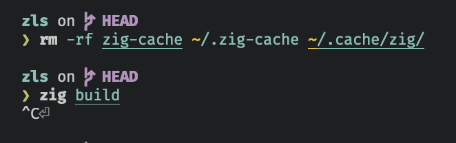 zig build hanging · Issue #1078 · zigtools/zls · GitHub