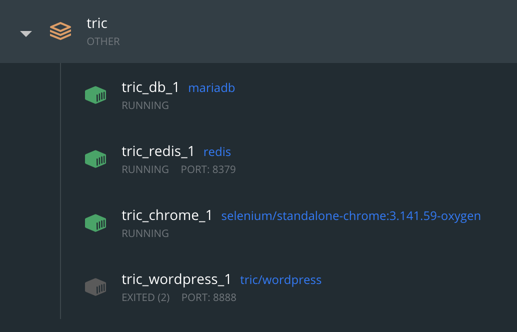 Containers leftover after an initial tric run prevent future runs from working · Issue #63 ...
