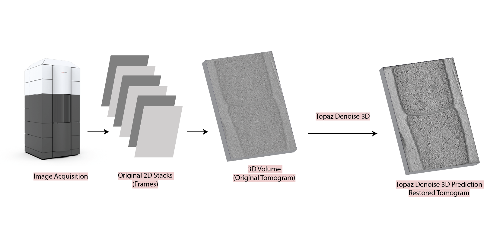 GitHub - virlyananda/EM-ImageProcessing: Documentation on Electron Microscopy(EM) computational ...