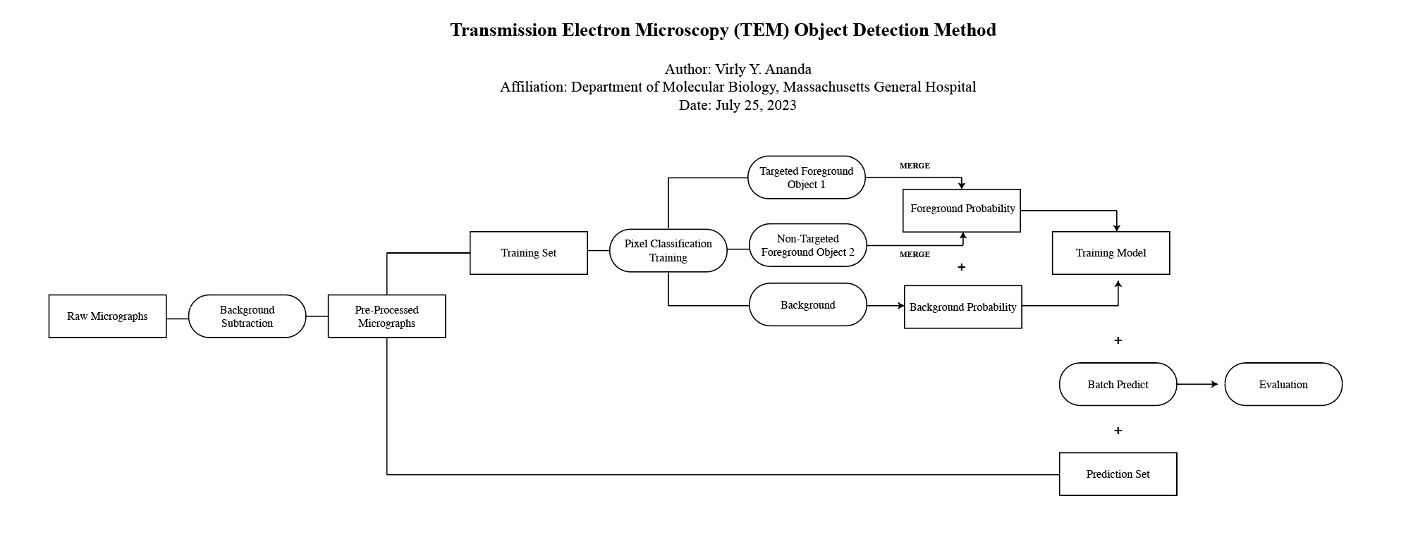 GitHub - virlyananda/EM-ImageProcessing: Documentation on Electron Microscopy(EM) computational ...