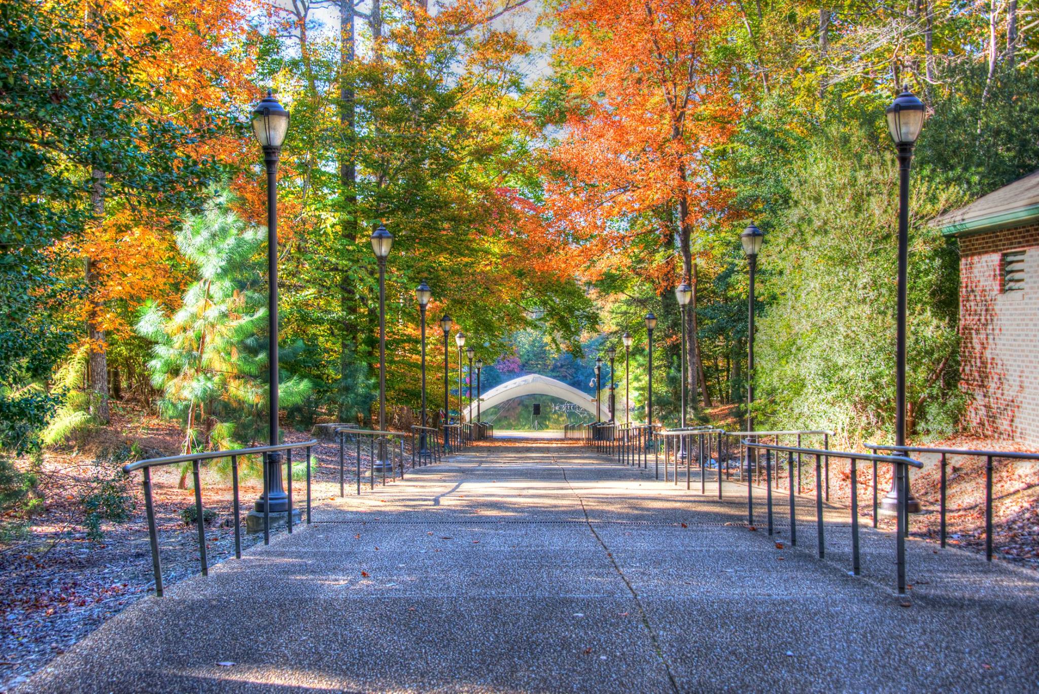 Hong-Doan (Hong Doan) · GitHub