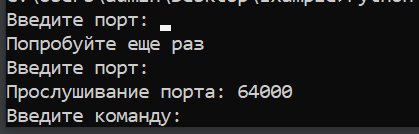 GitHub - AlexaErkb/Echo_server: Практикум по программированию