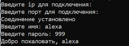 GitHub - AlexaErkb/Echo_server: Практикум по программированию