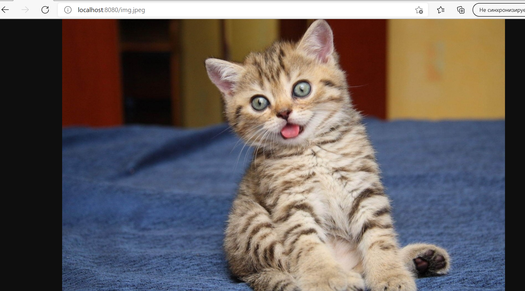 GitHub - AlexaErkb/Web_server