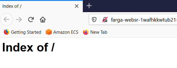 Nginx shows "index of /" instead of the default "Welcome to nginx ...