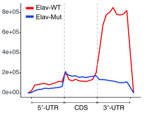 question on using deeptools · Issue #1211 · deeptools/deepTools · GitHub