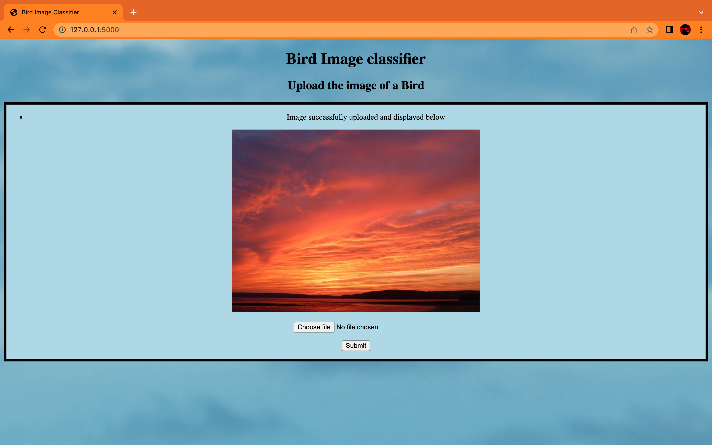 GitHub - MR-V07/Bird-Classifier-UI