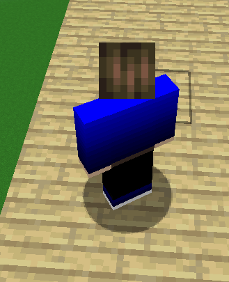 Switching servers between velocity causes the cape and skin overlays to disappear. · Issue #1015 ...