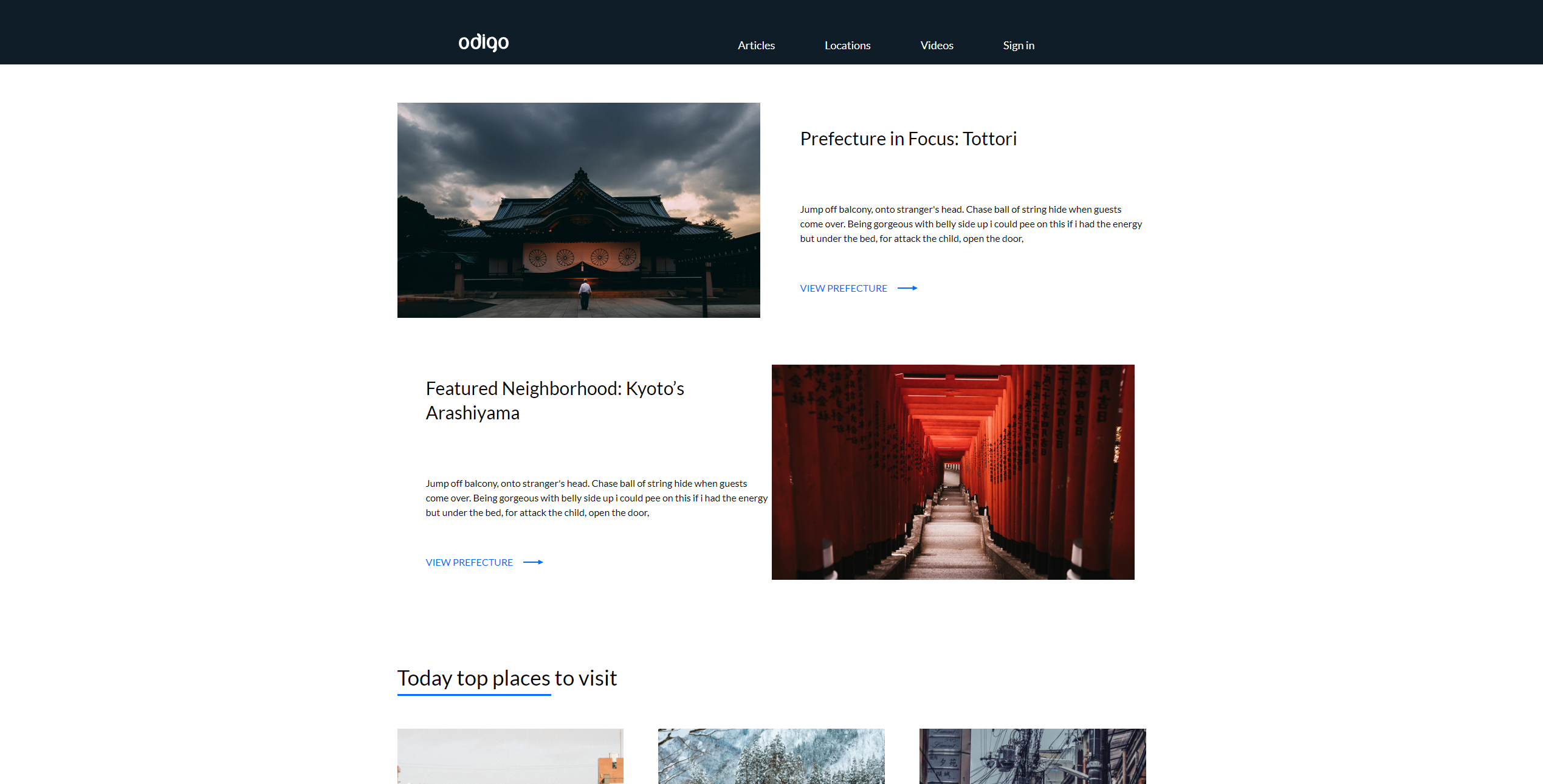 GitHub - noleynik29/odigo_landing