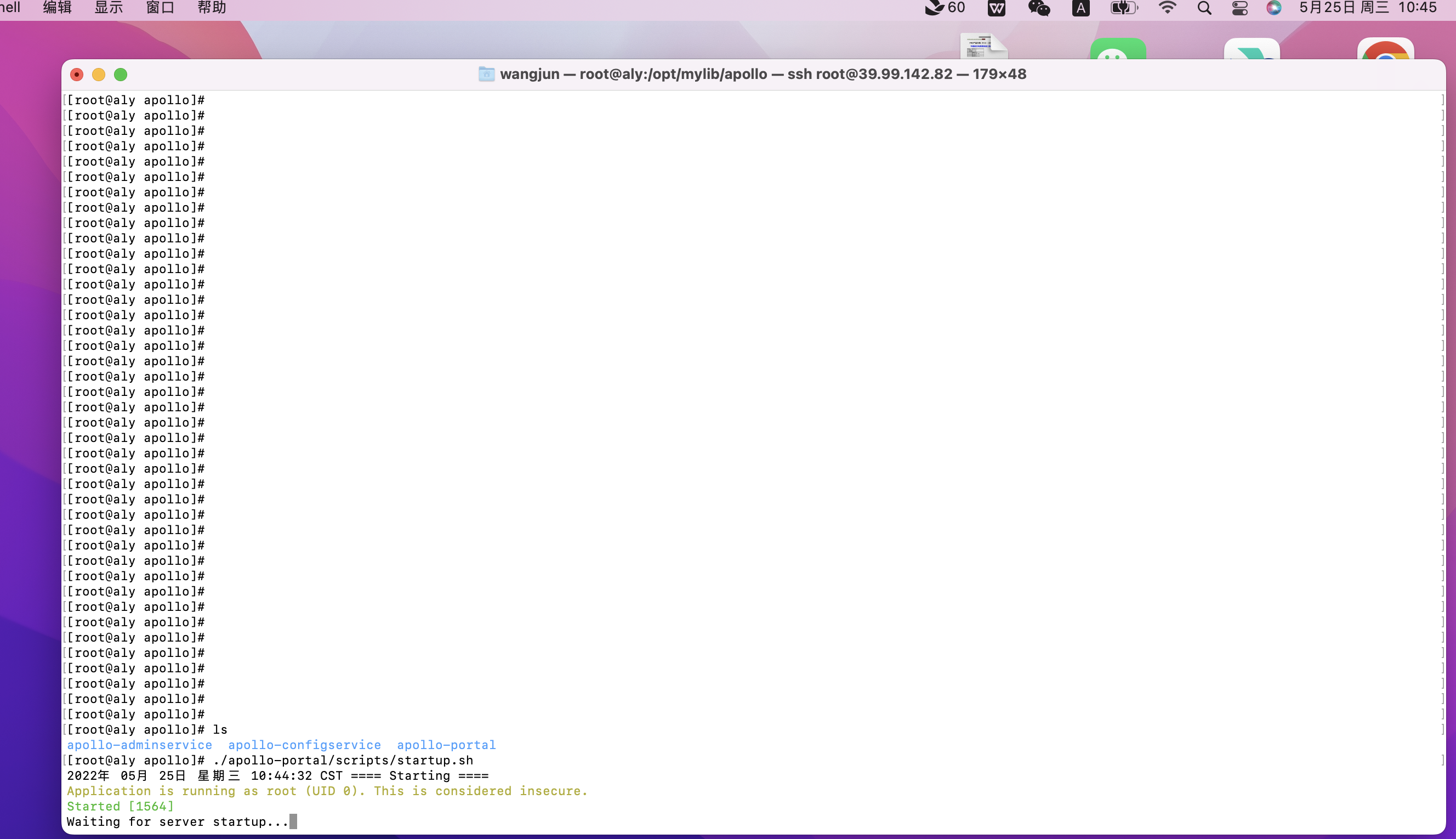 apollo-portal 一直在启动中，但是没有报错日志 · Issue #4379 · apolloconfig/apollo · GitHub