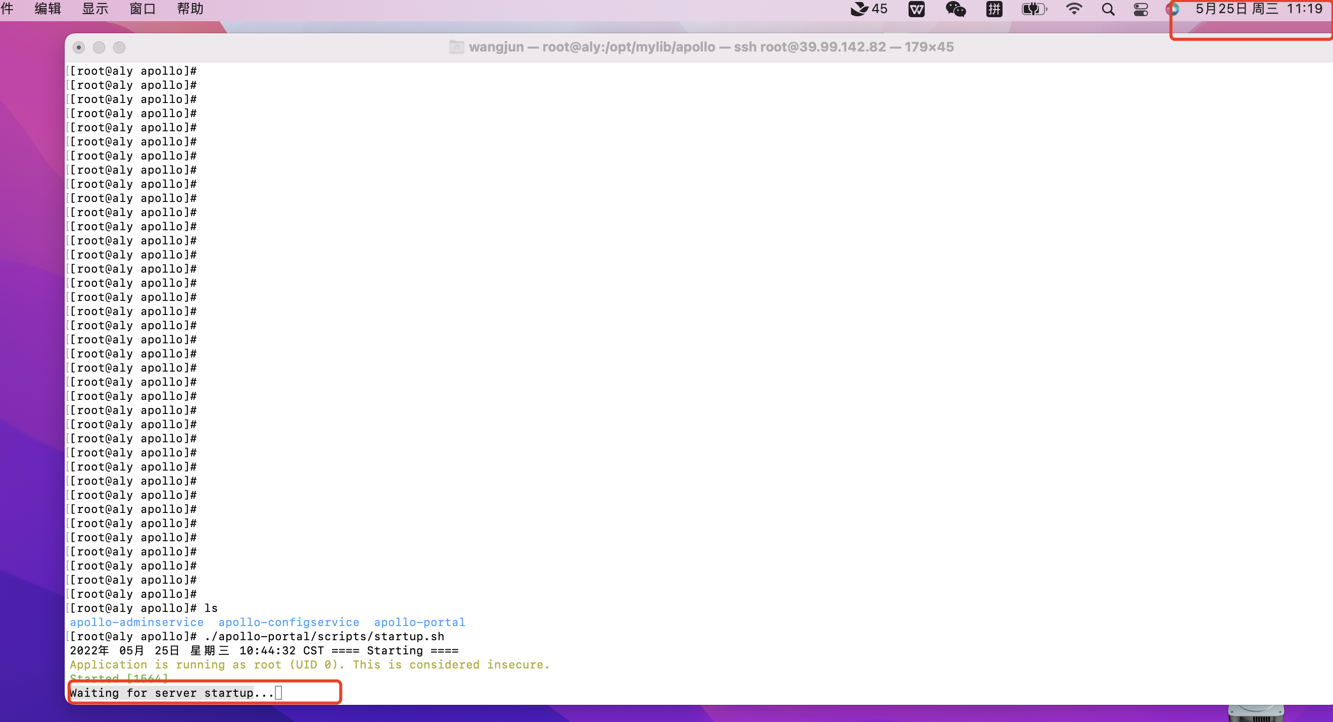 apollo-portal 一直在启动中，但是没有报错日志 · Issue #4379 · apolloconfig/apollo · GitHub