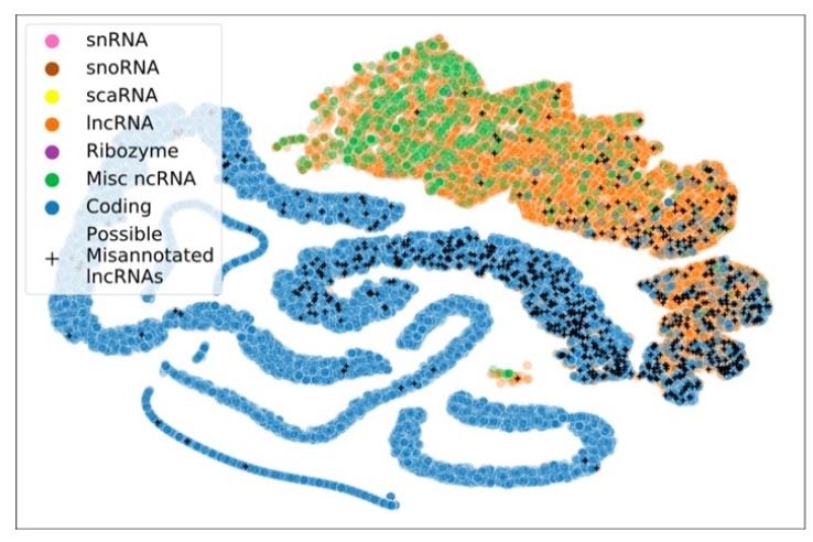 GitHub - bilgeekara/lncRNA-analysis-and-preprocessing: lncRNA analysis ...