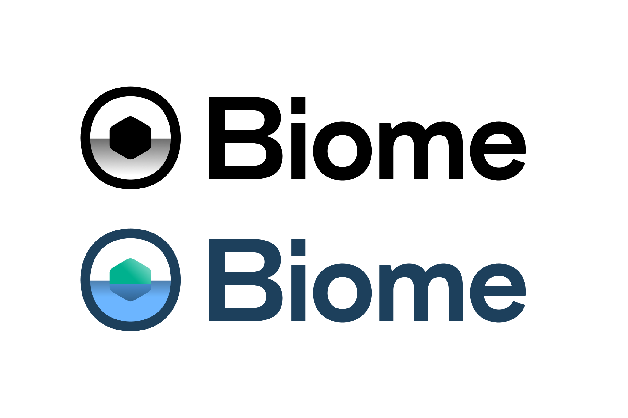 New Biome logo · biomejs biome · Discussion #141 · GitHub