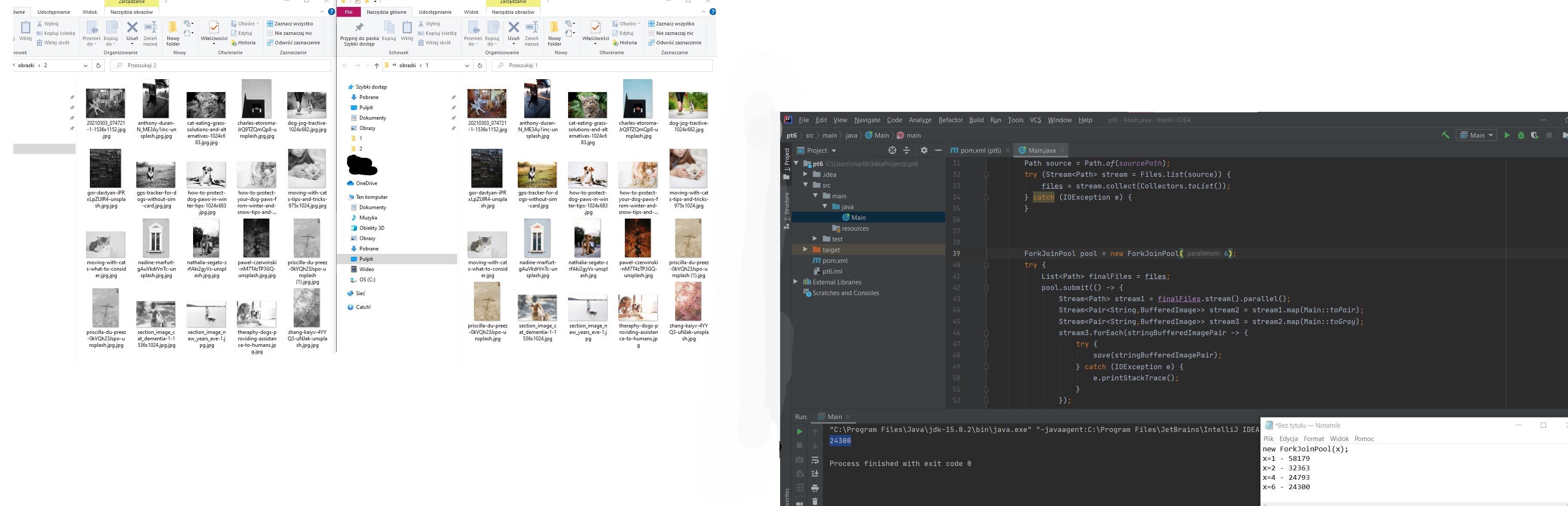 GitHub - martb00/parallel-image-processing