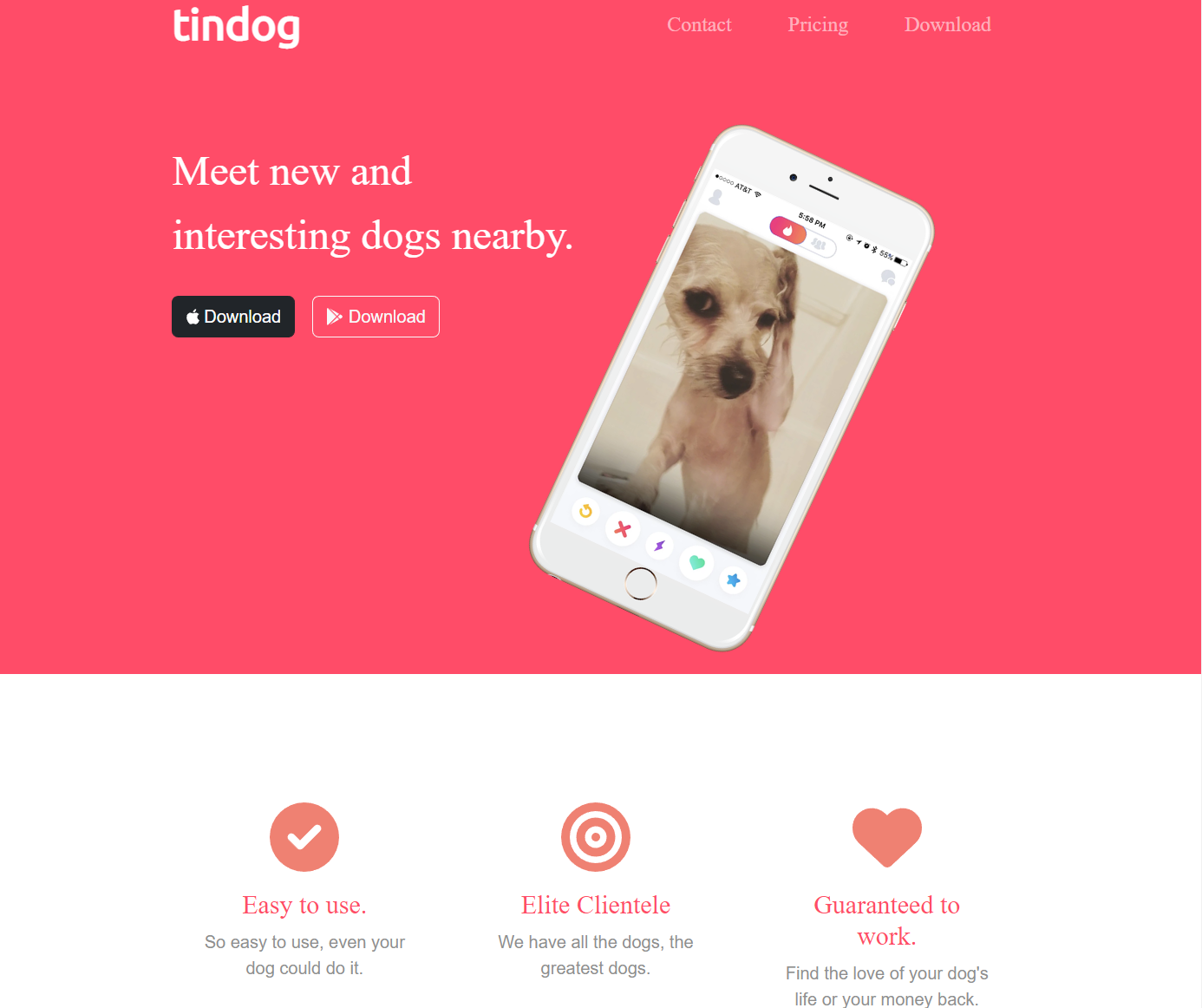 React Portfolio Website