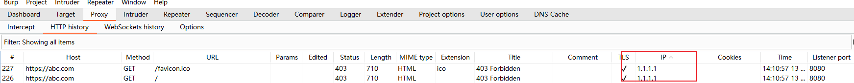 GitHub - mayi077/BurpDnsCache: Modify DNS resolution rules in BurpSuite ，为一款可以修改burpsuite中hosts ...