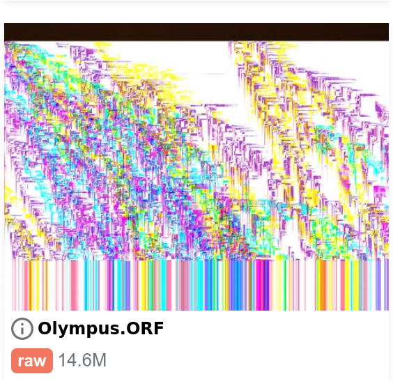 RAW image thumbnails broken · Issue #259 · sist2app/sist2 · GitHub