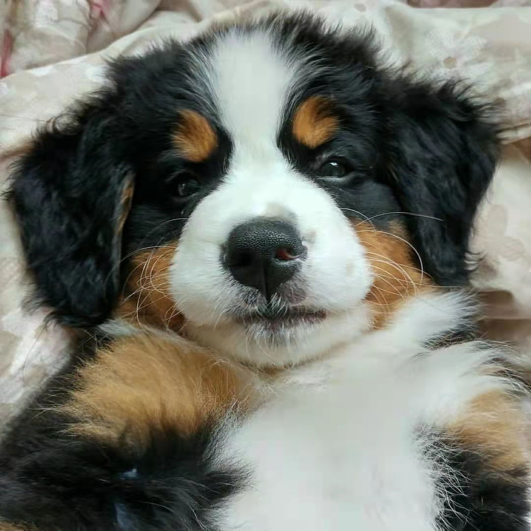 gtb-2022-ye-tianyu · GitHub