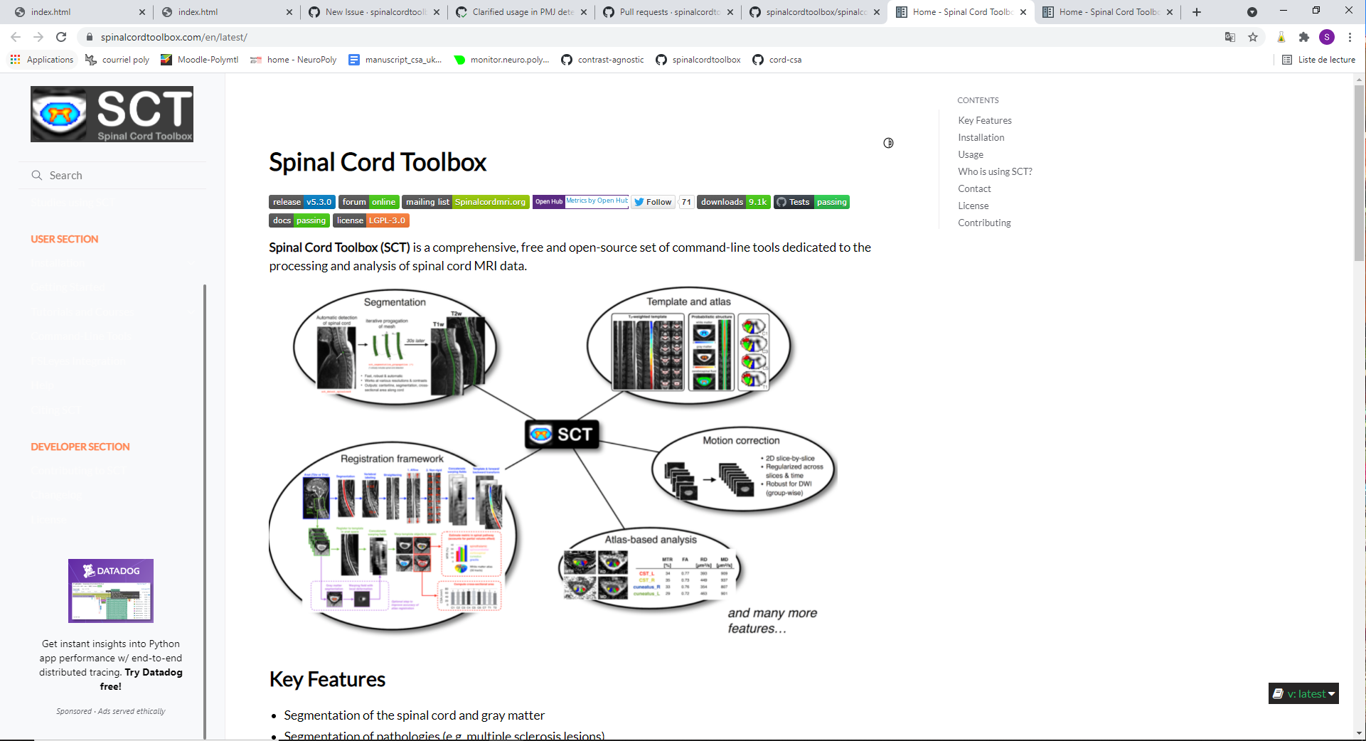 gray color not displayed in `https://spinalcordtoolbox.com` · Issue #3487 · spinalcordtoolbox ...