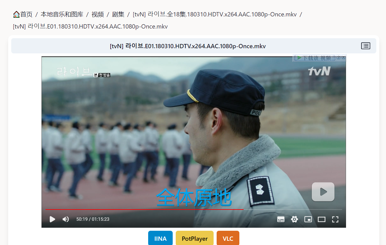 关于视频字幕问题 · Issue #228 · zhw2590582/ArtPlayer · GitHub