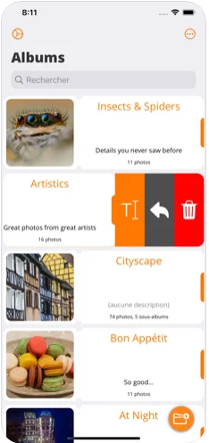 Add search functionality · Issue #69 · Piwigo/piwigo-flutter-app · GitHub
