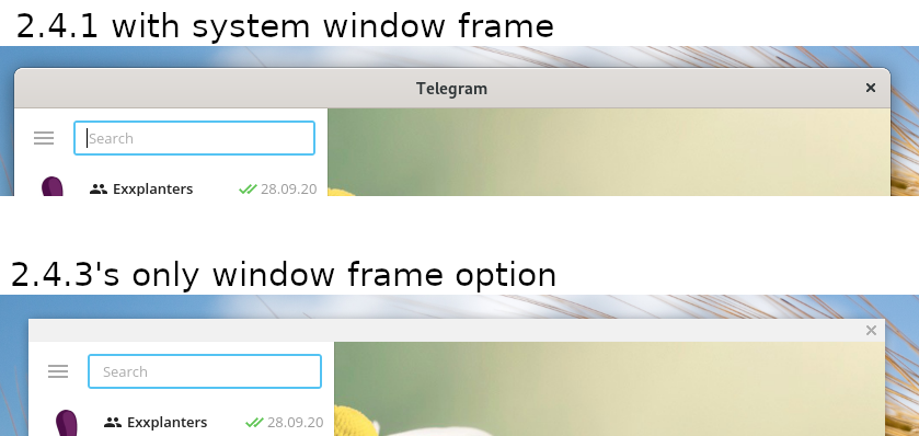 Option to switch System Window Frame on Linux has disappeared · Issue #8791 · telegramdesktop ...