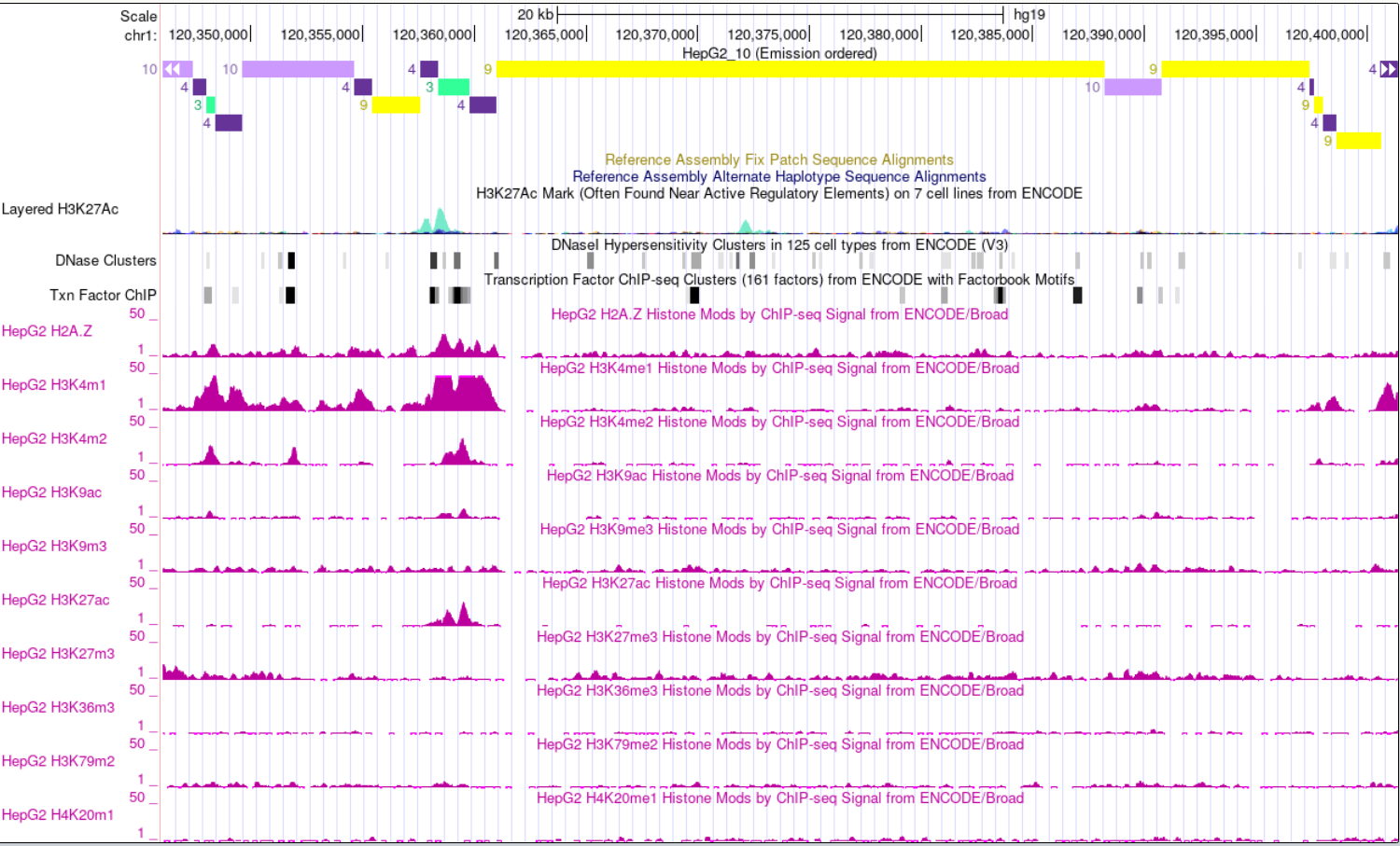 GitHub - Kalick153/hse_hw3_chromhmm
