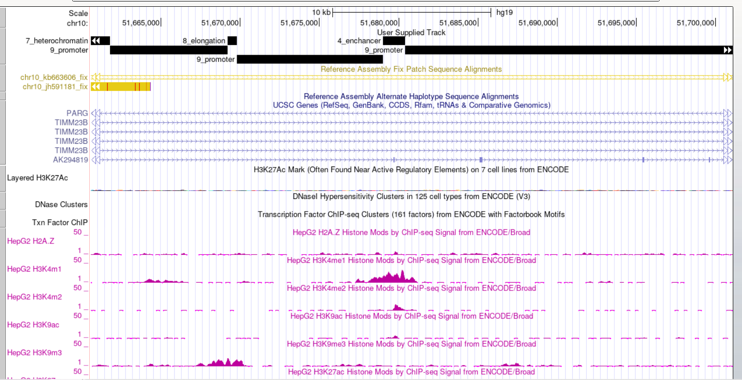 GitHub - Kalick153/hse_hw3_chromhmm