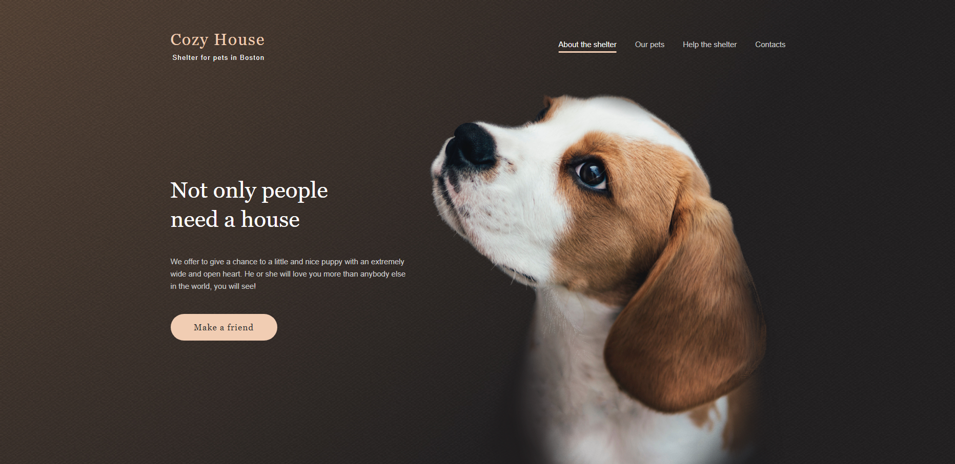 GitHub - shaqi-dev/shelter: Landing page "Shelter"