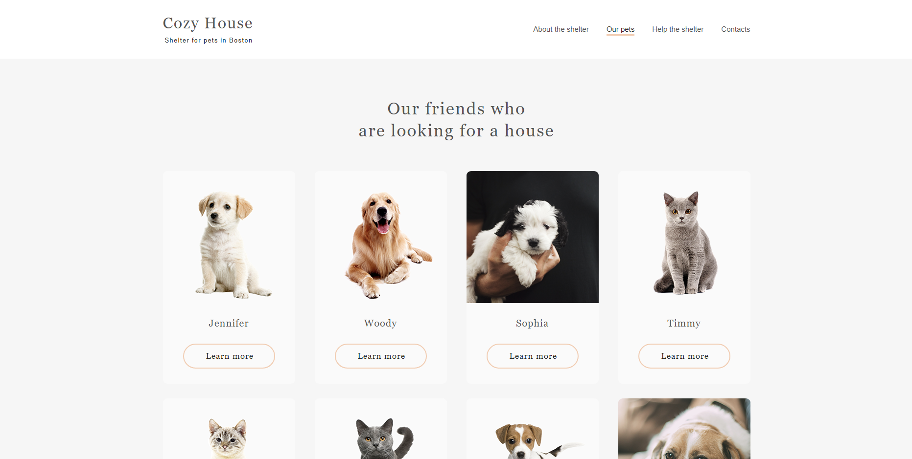 GitHub - shaqi-dev/shelter: Landing page "Shelter"