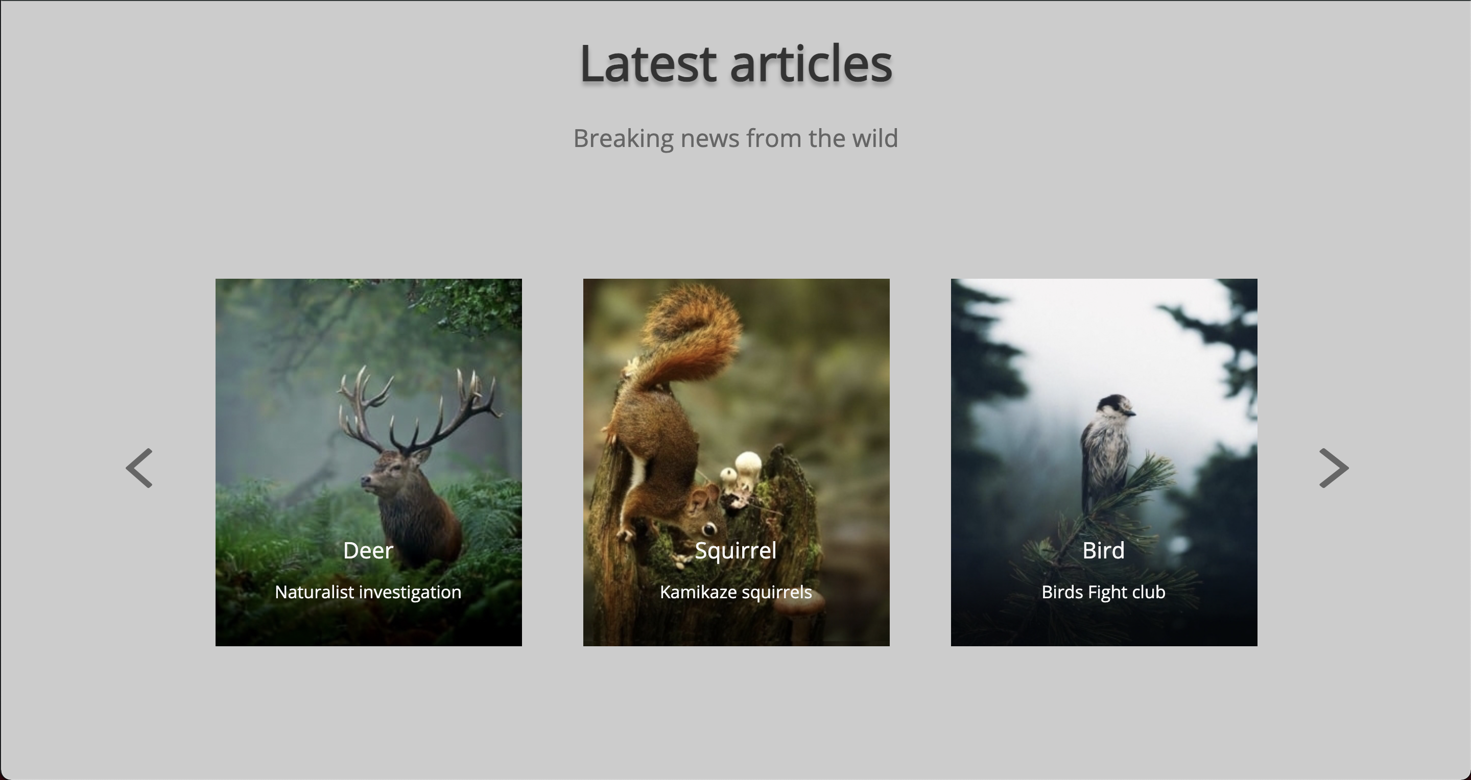 GitHub - tkachiko/wildlife: Pixel perfect layout and styling for fixed screen resolution 1440px.