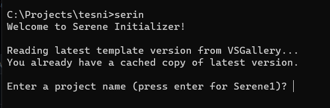 Error Create Project Using Serin · serenity-is · Discussion #6590 · GitHub