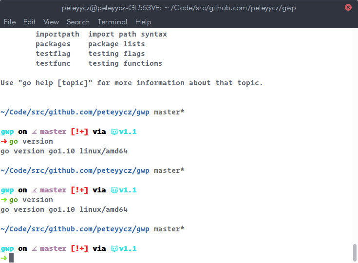 Wrong Go Version · Issue 386 · Spaceship Promptspaceship Prompt · Github