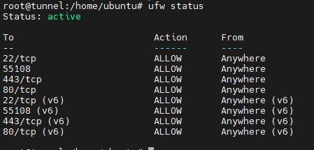 Oracle VPS not connecting to CF · Issue #8 · mochman/Bypass_CGNAT · GitHub