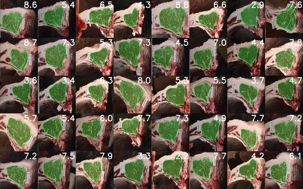 GitHub - gywns6287/MSENet: Bridge connection for beef MS grading