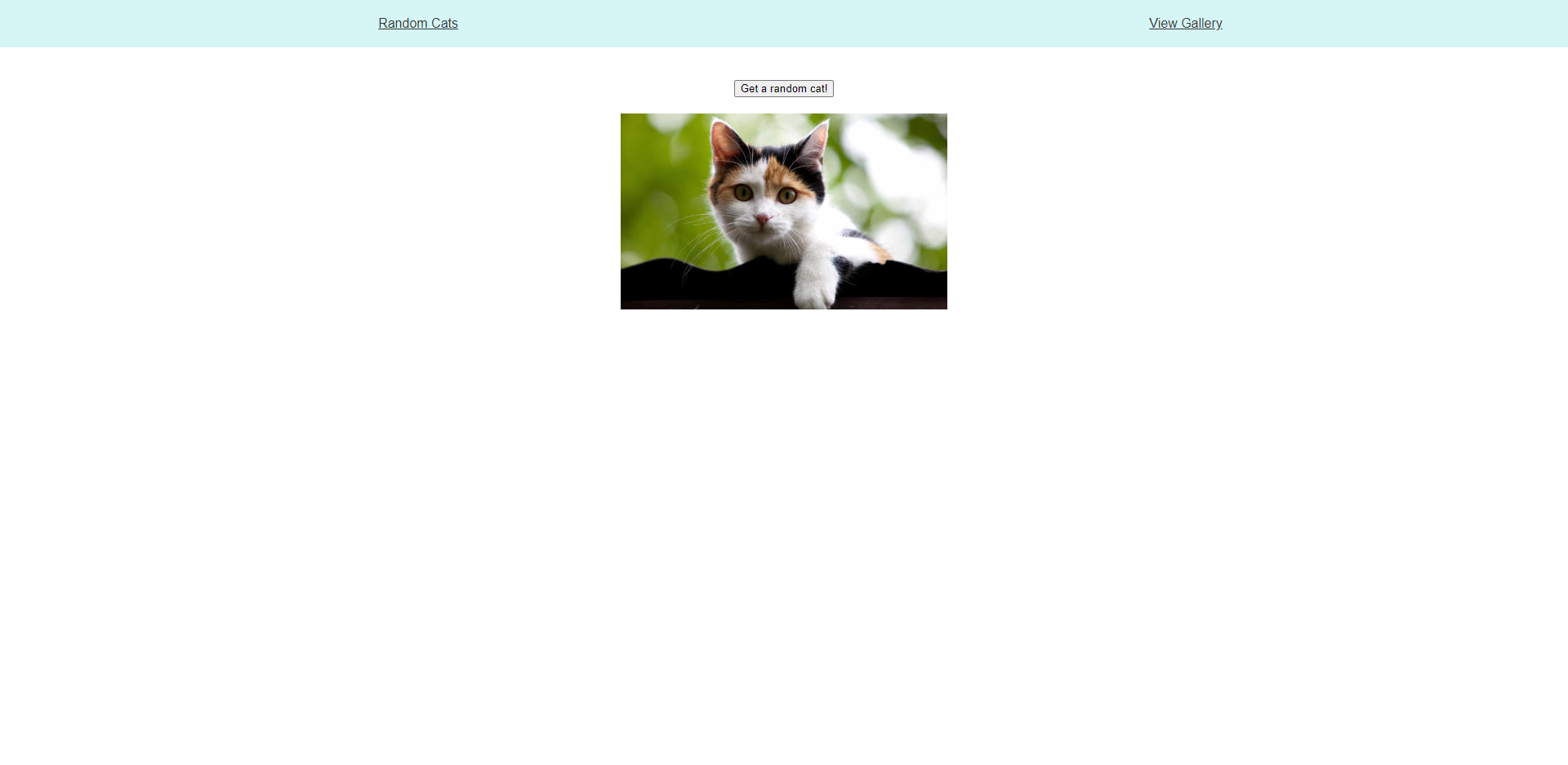 GitHub - anas-01/thecatapi: The Cat Api