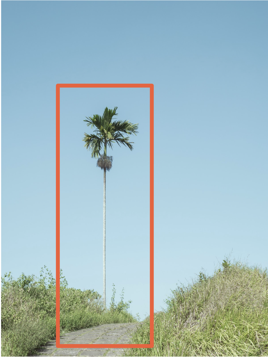 GitHub - ankitkumar734ac/AWS-Machine-Learning-Foundation-Udacity