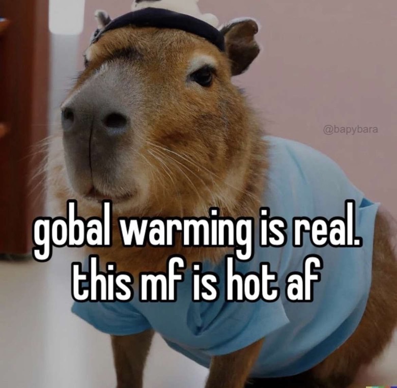 game bug · Issue #38 · donato-fiore/GameSeagull · GitHub