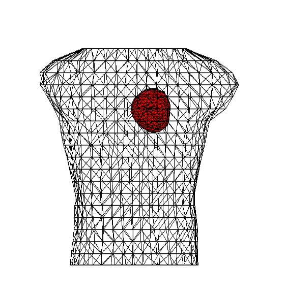 GitHub - unclerain/Reconstruction-of-heart-activities-in-3D-geometry ...