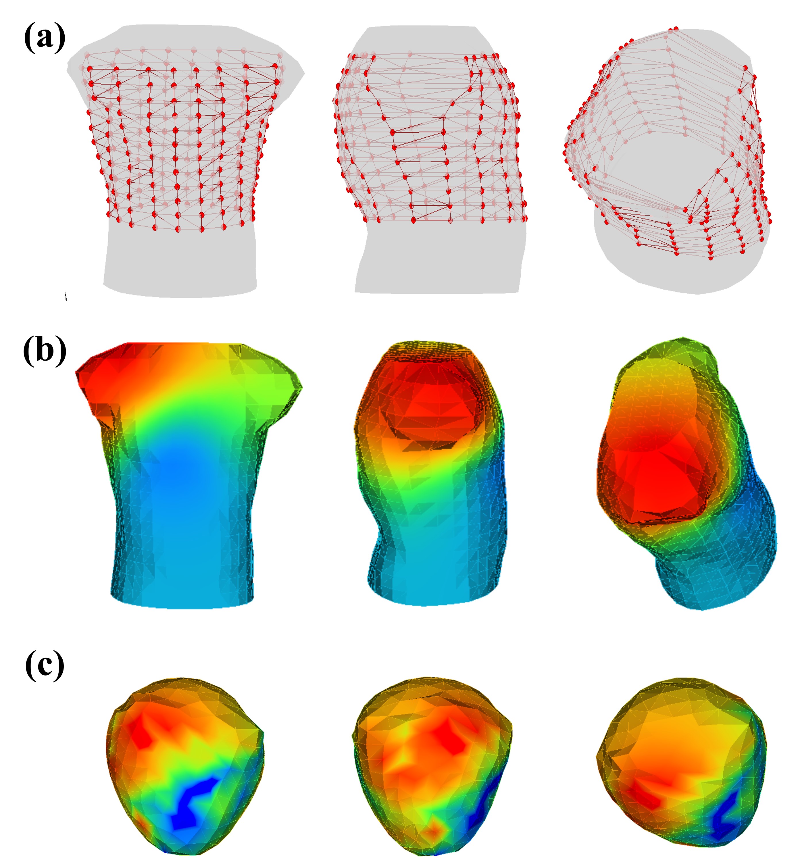 GitHub - unclerain/Reconstruction-of-heart-activities-in-3D-geometry ...