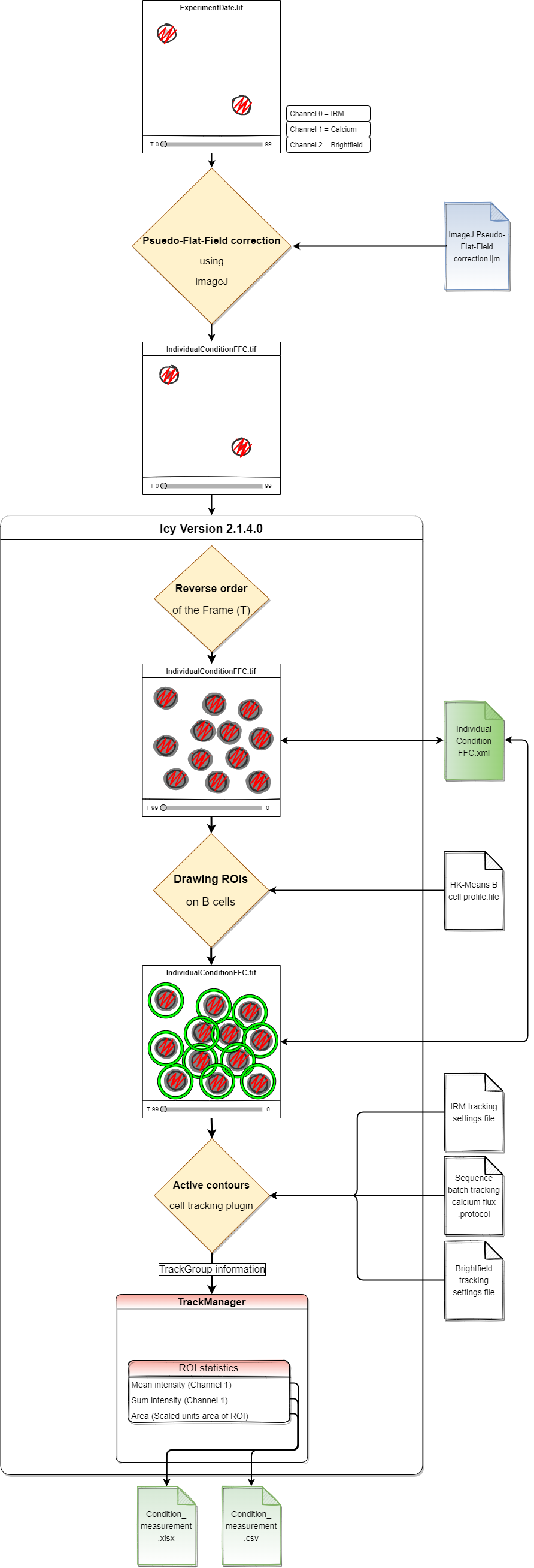 GitHub - JTaal/Calcium-flux-data-analysis: Converting multi channel ...