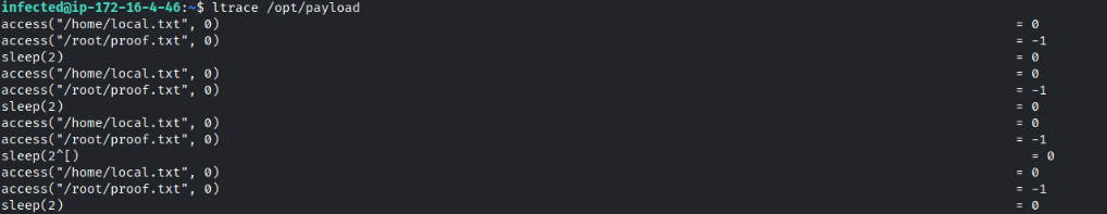 GitHub - Algorithme123/sec-dojo-ransomware101: sec-dojo write ups