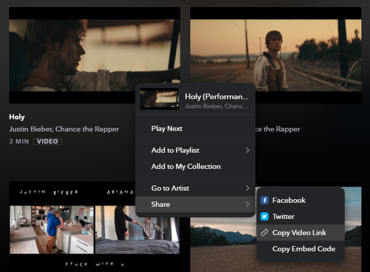 [BUG] tidal-dl can't download video · Issue #468 · yaronzz/Tidal-Media-Downloader · GitHub
