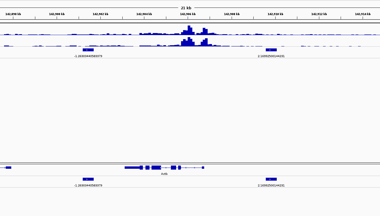 Differenet in IGV and ArchRBrowser · Issue #847 · GreenleafLab/ArchR · GitHub
