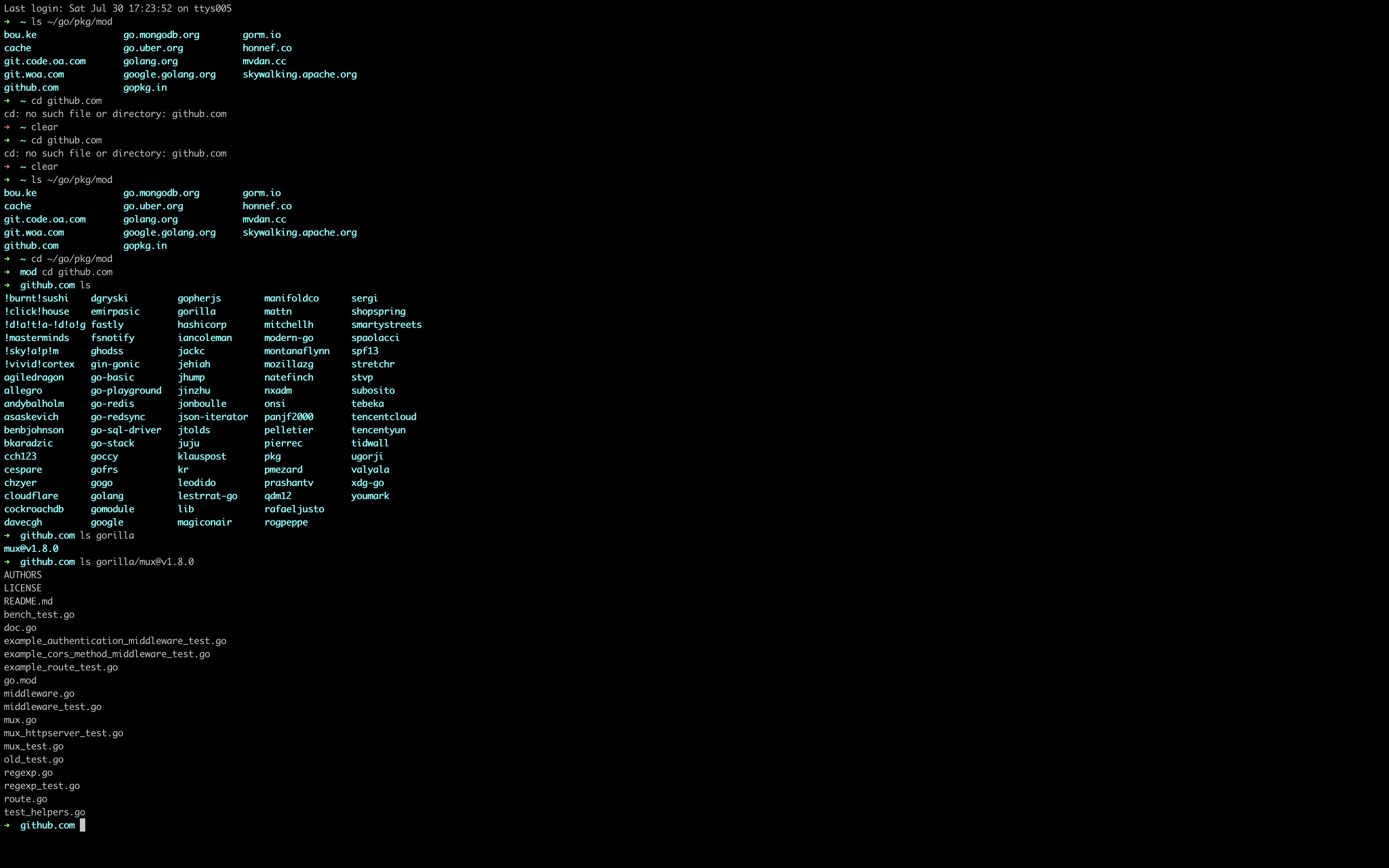 Can not import mux in my project · Issue #690 · gorilla/mux · GitHub Can not import mux in my project · Issue #690 · gorilla/mux · GitHub