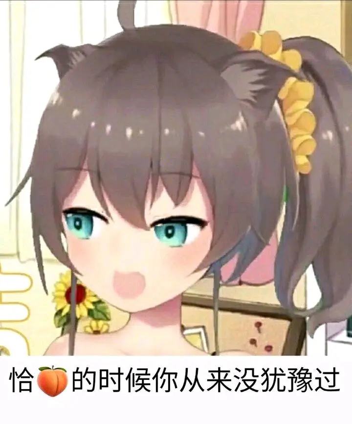 白上吹雪表情包(确定没有夏哥) · Issue #53 · vtuber-issues/home · GitHub