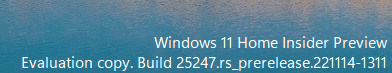 [Taskbar Labels for Windows 11] Does not work upon restart, using dev channel build · Issue #156 ...