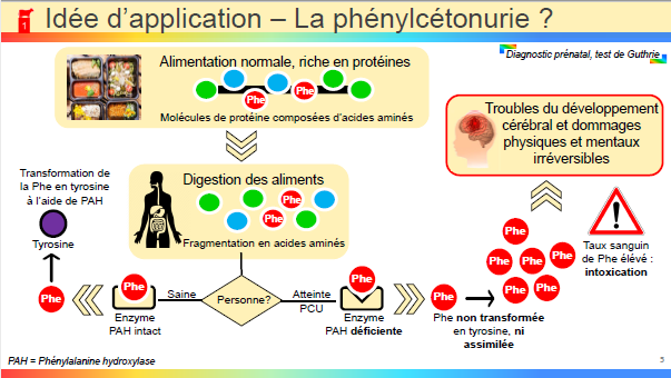 GitHub - loedata/OC-DS-P3-Concevez_application_au_service_sante_publique: Formation ...