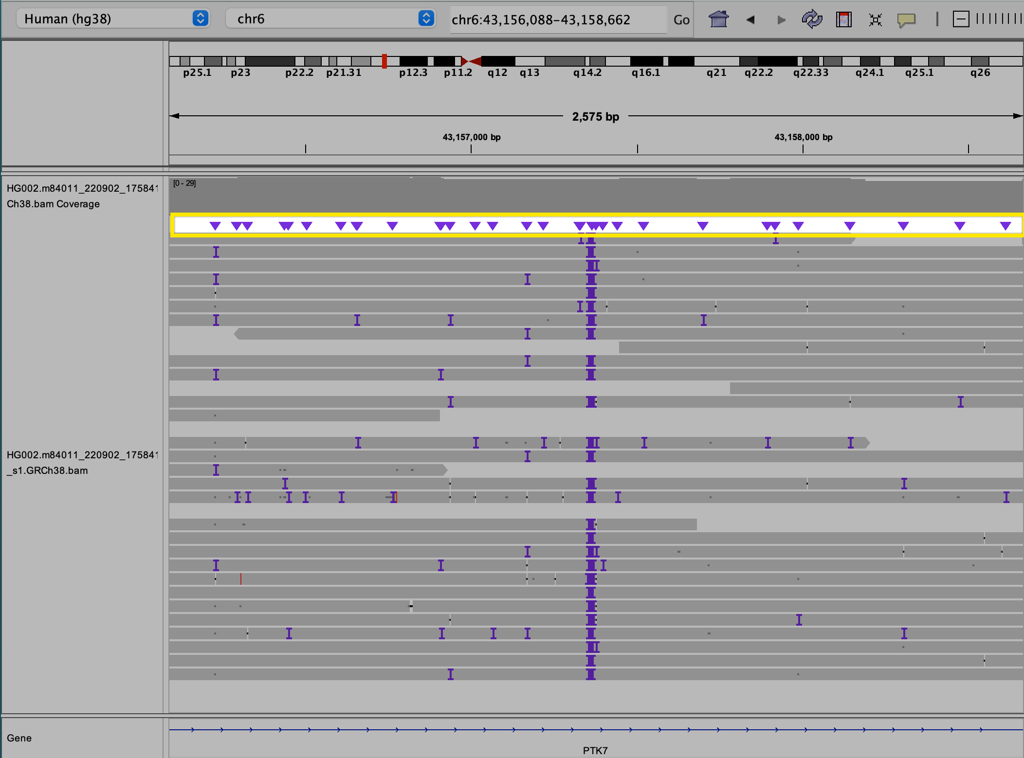 New defaults for 3rd gen sequencing · Issue #1221 · igvteam/igv · GitHub