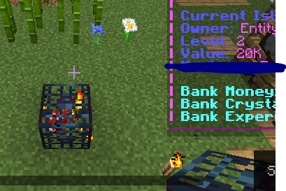 Island Value Bug · Issue #550 · Iridium-Development/IridiumSkyblock · GitHub